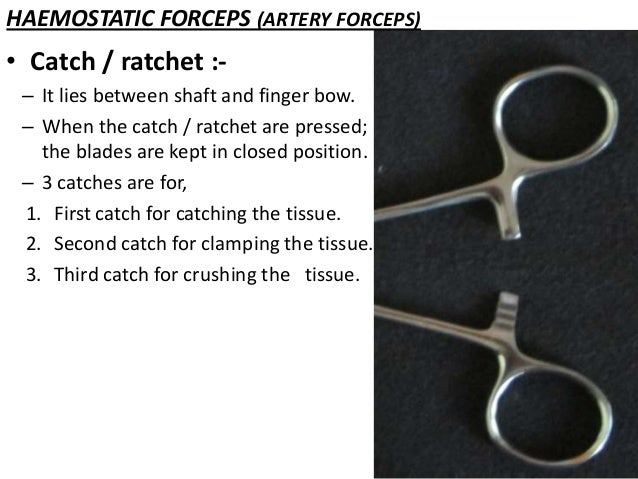Dissection and instruments