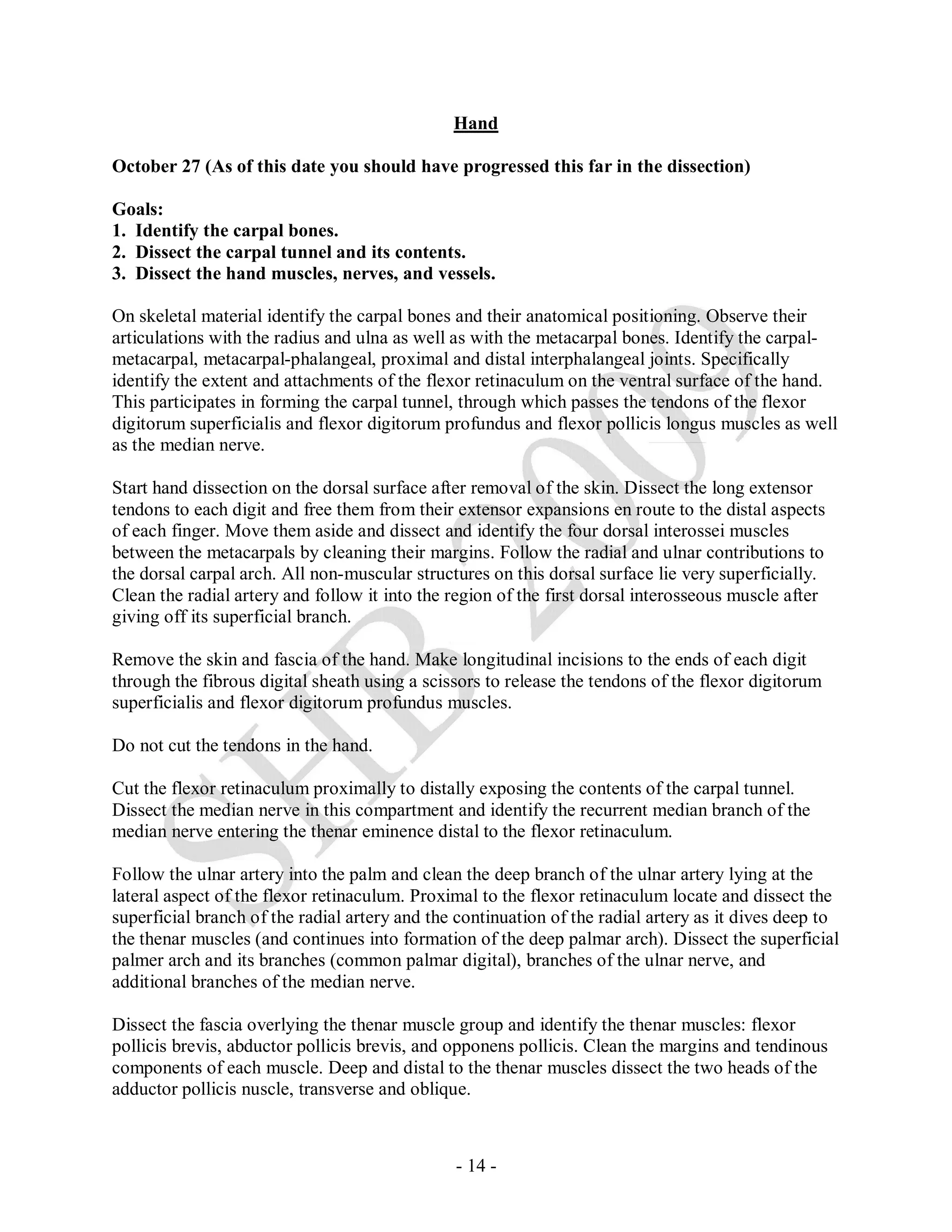 Anatomy Dissection guide | PDF