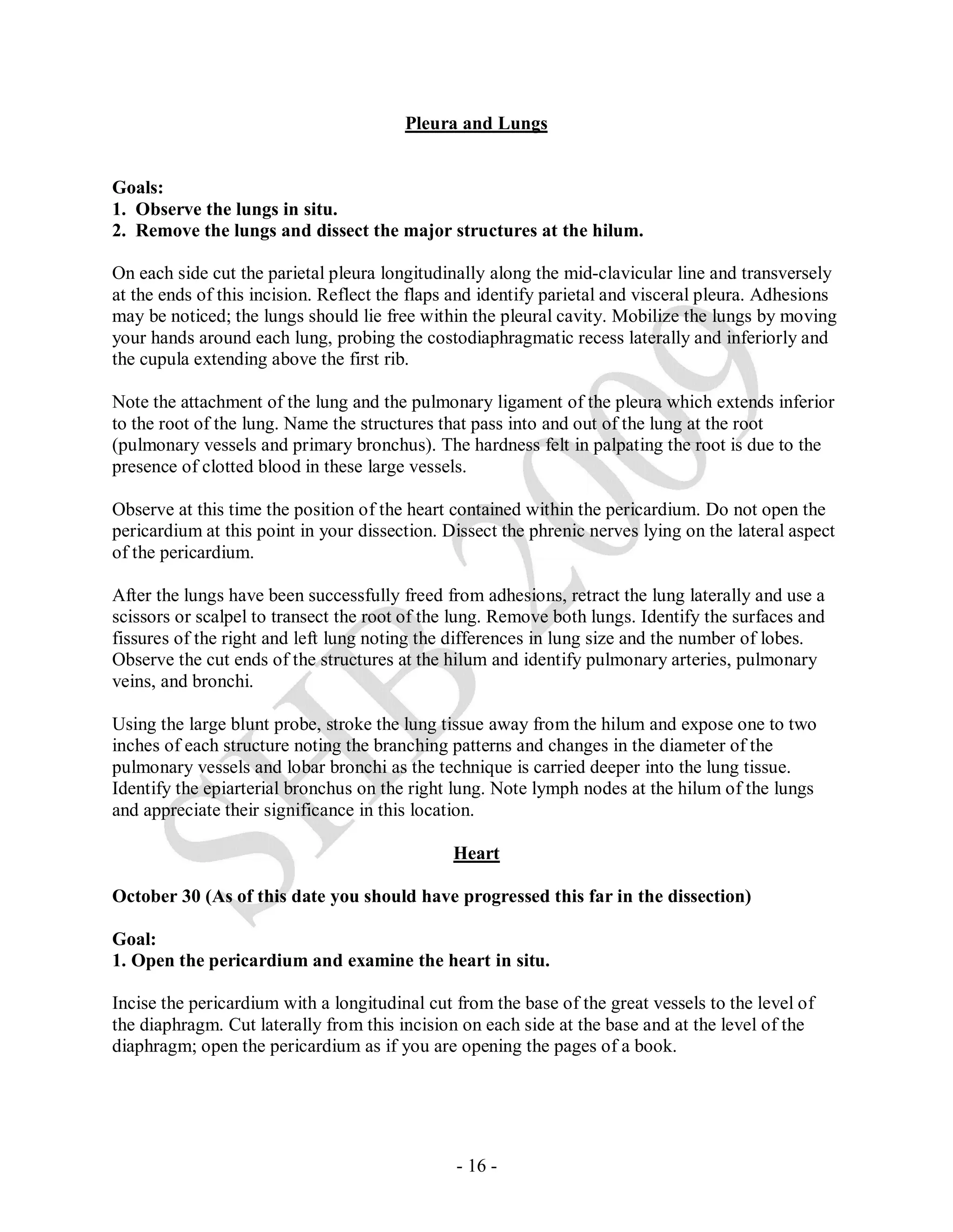 Anatomy Dissection guide | PDF