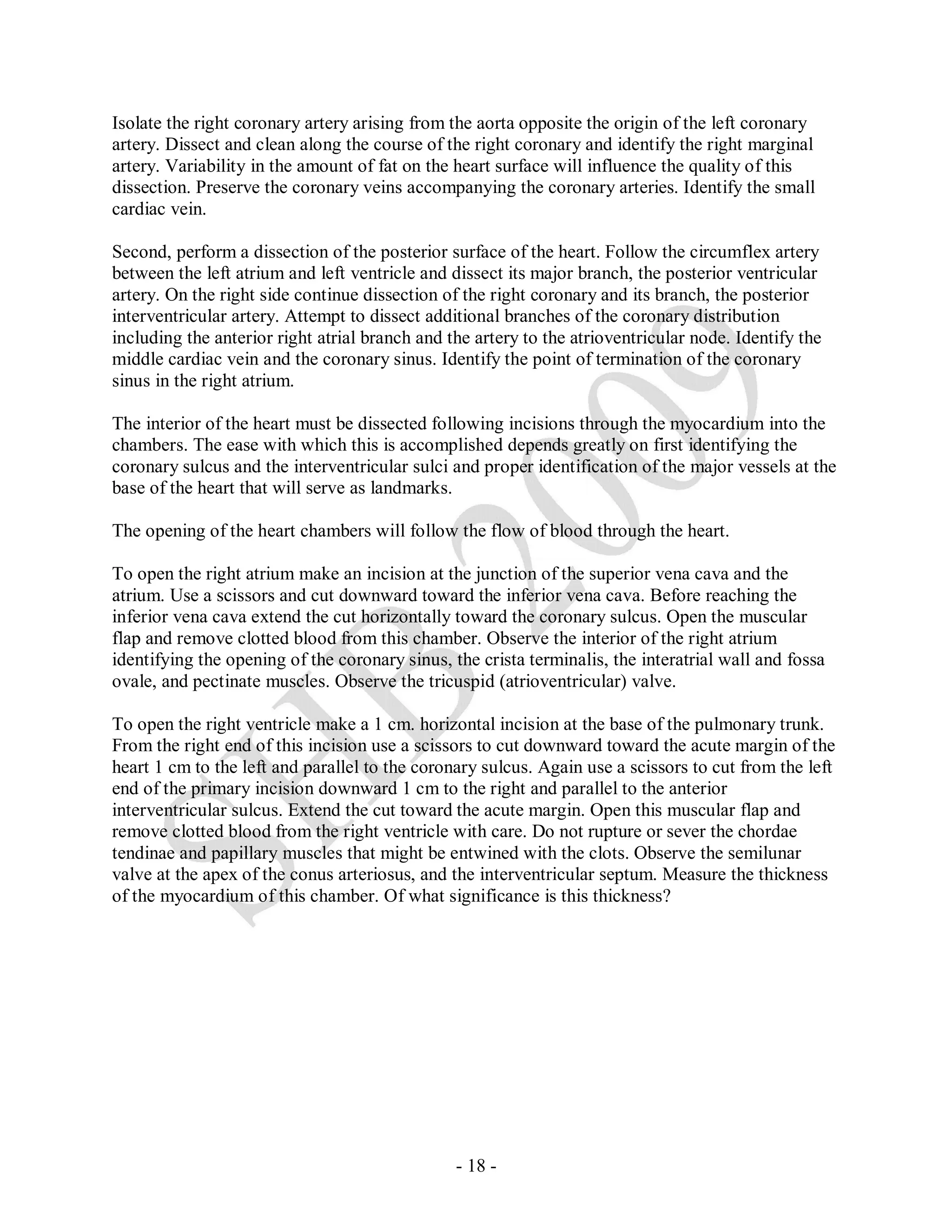 Anatomy Dissection guide | PDF