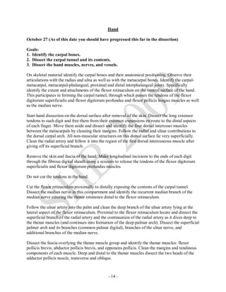 Anatomy Dissection guide | PDF