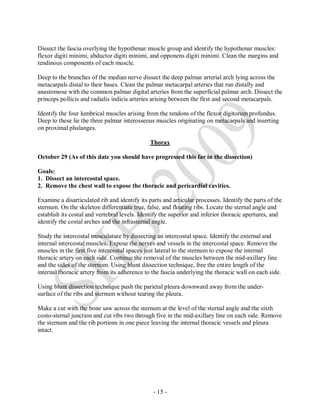 Anatomy Dissection guide | PDF