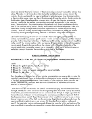 Anatomy Dissection guide | PDF