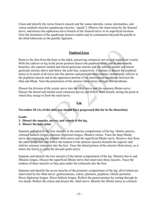 Anatomy Dissection guide | PDF