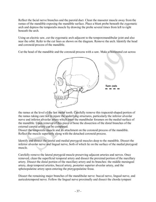 Anatomy Dissection guide | PDF