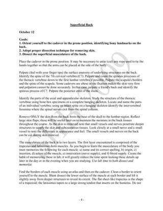 Anatomy Dissection guide | PDF