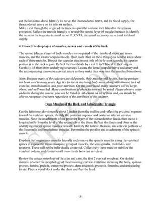 Anatomy Dissection guide | PDF