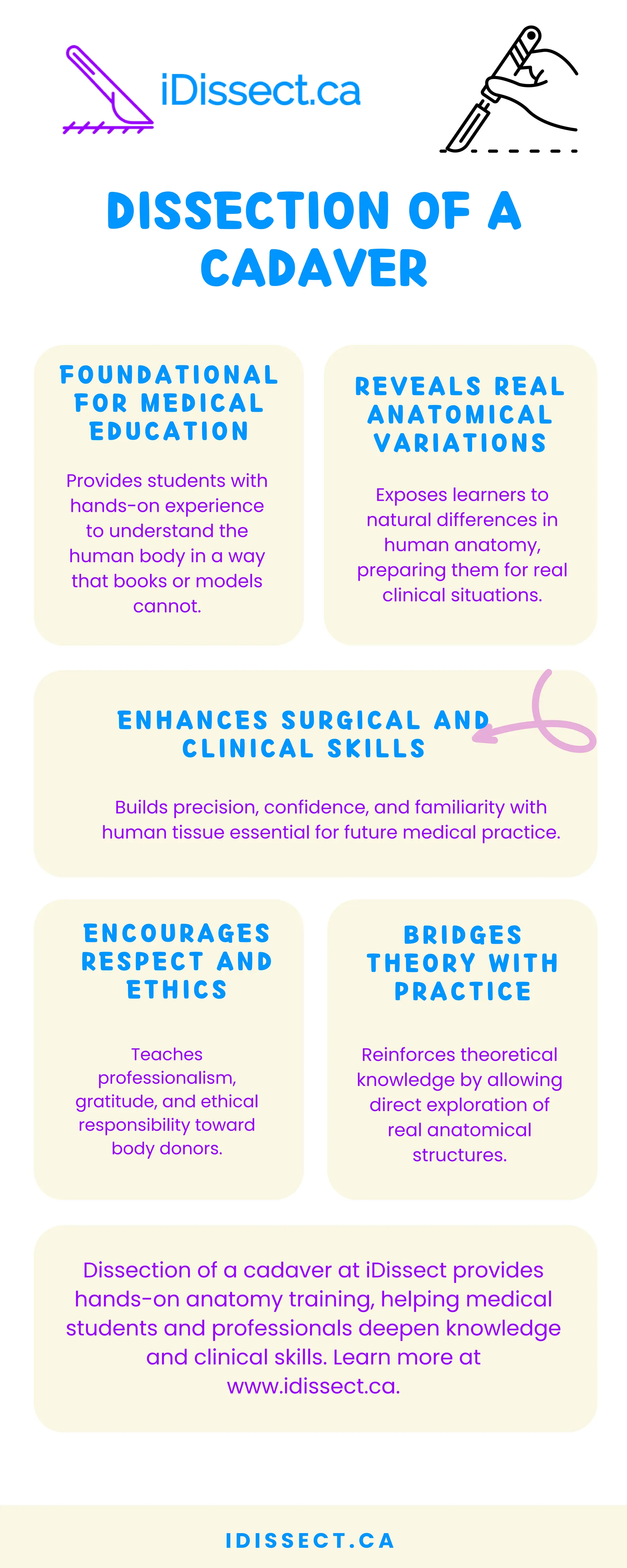 Dissection Of a Cadaver - www.idissect.ca