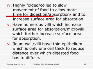Dissection of frog toad _updated notes | PPTX