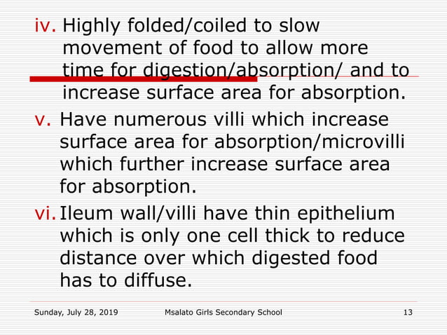Dissection of frog toad _updated notes | PPTX