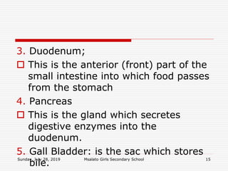 Dissection of frog toad _updated notes | PPTX