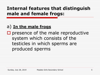 Dissection of frog toad _updated notes | PPTX
