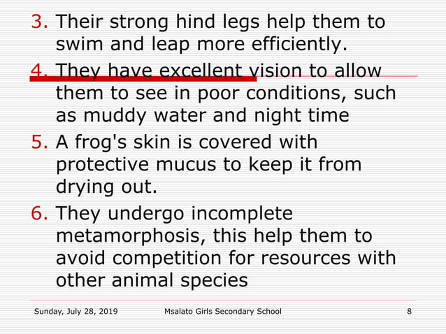 Dissection of frog toad _updated notes | PPTX