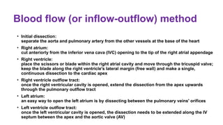 dissection of heart.pptxdjfewioufjewilfewmpfoeiwfe | PPTX