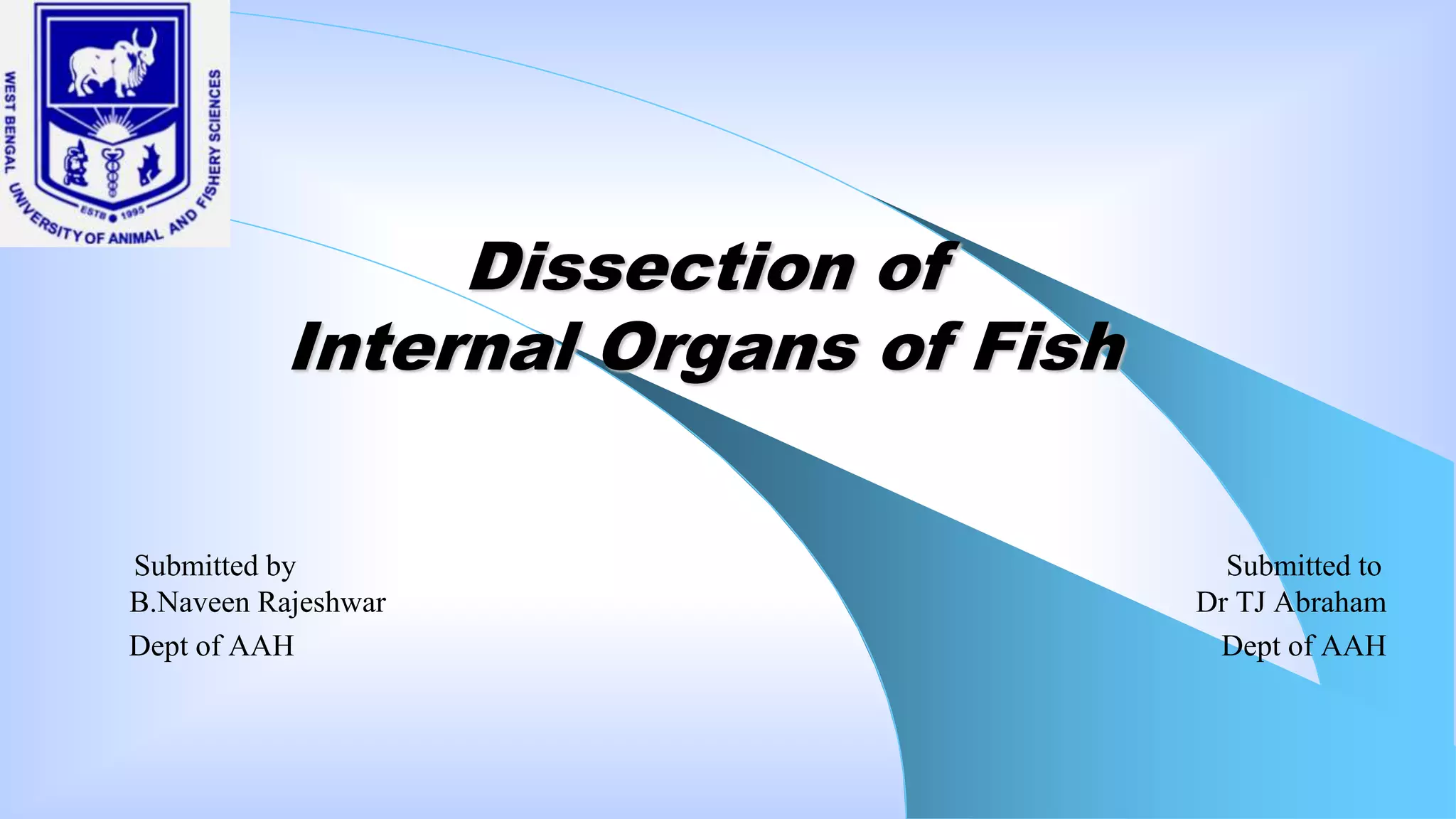 Dissection of internal organs of fish | PPTX