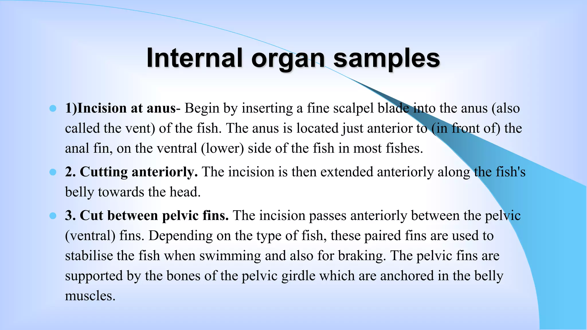 Dissection of internal organs of fish | PPTX
