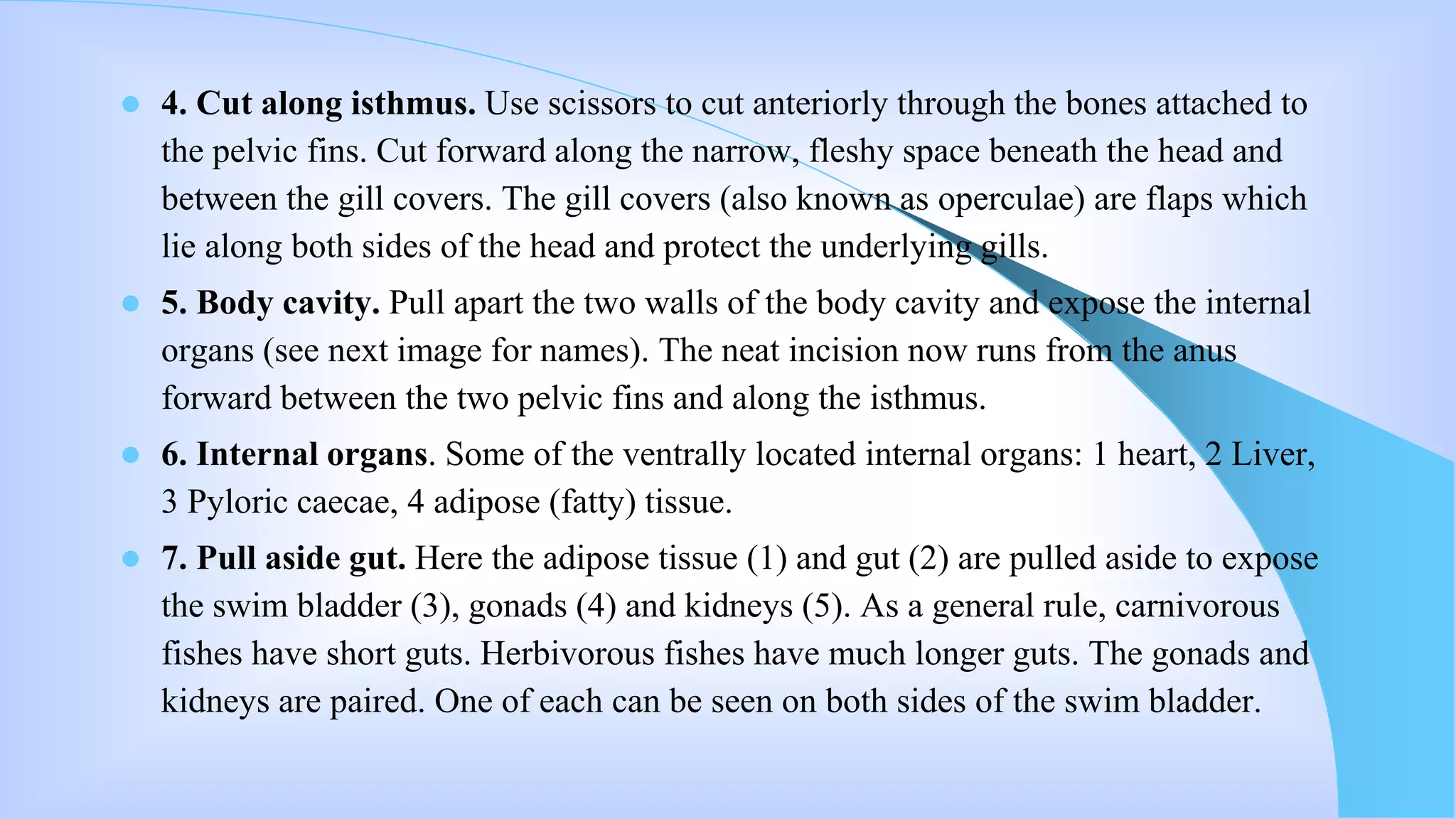 Dissection of internal organs of fish | PPTX