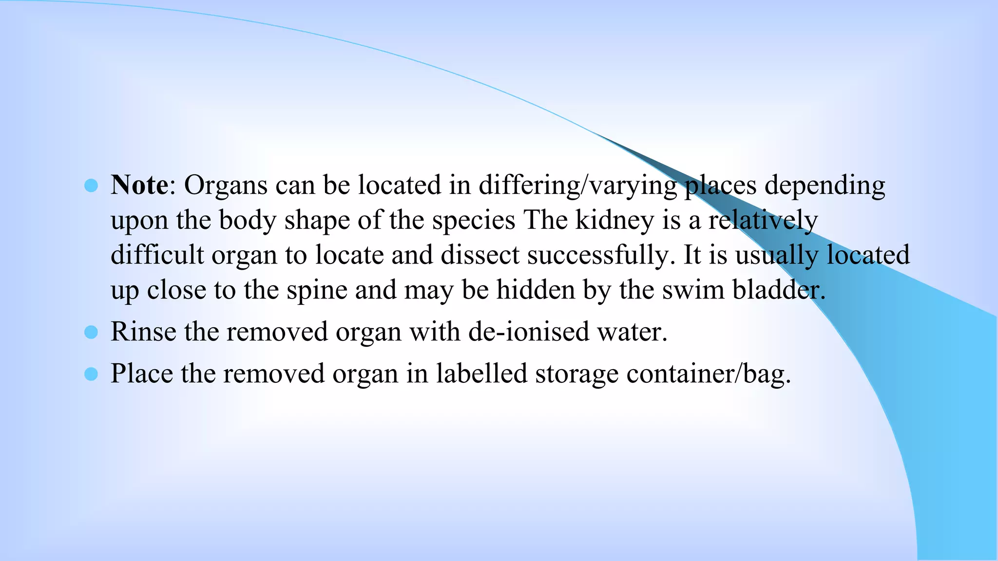 Dissection of internal organs of fish | PPTX