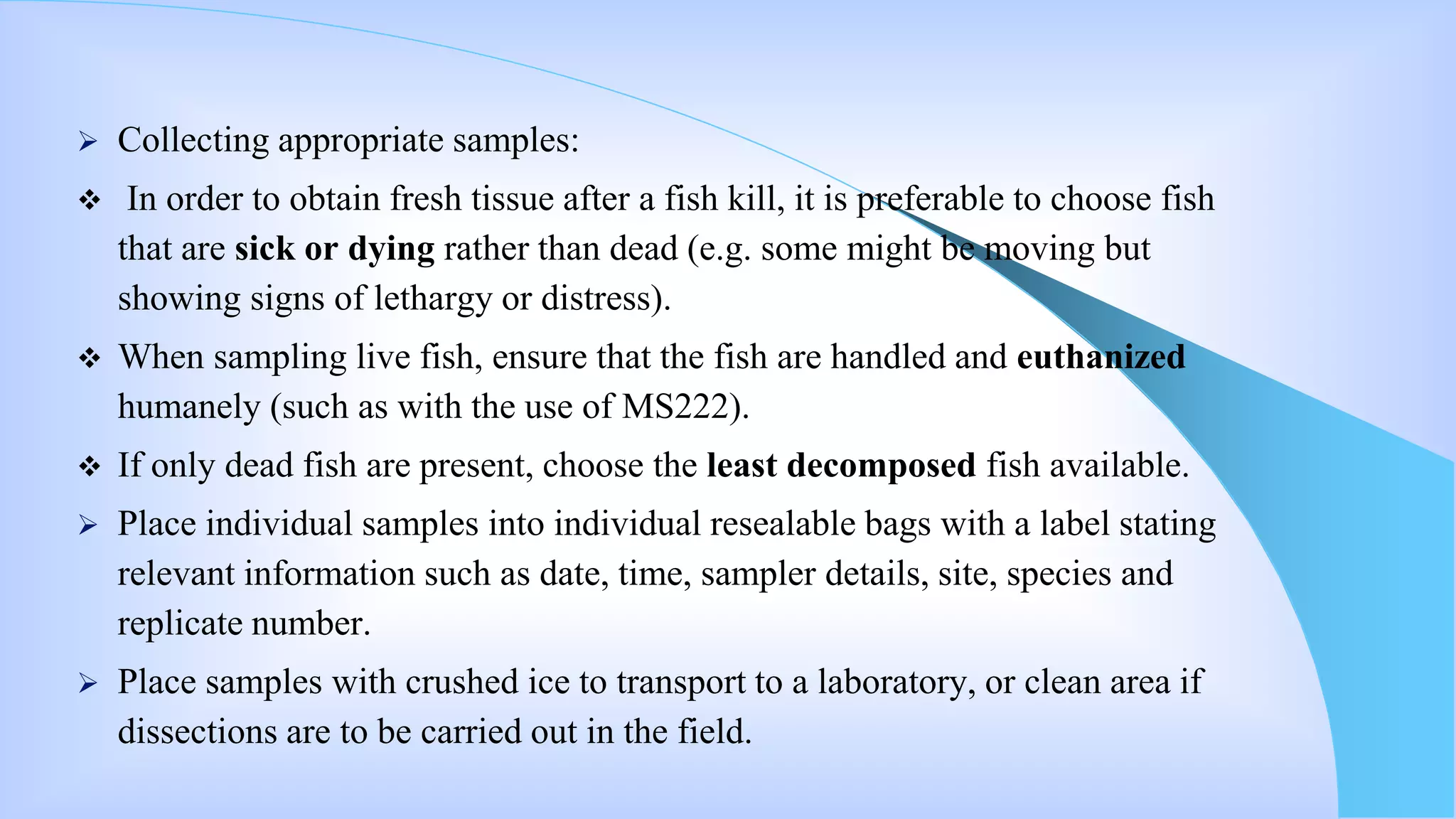 Dissection of internal organs of fish | PPTX
