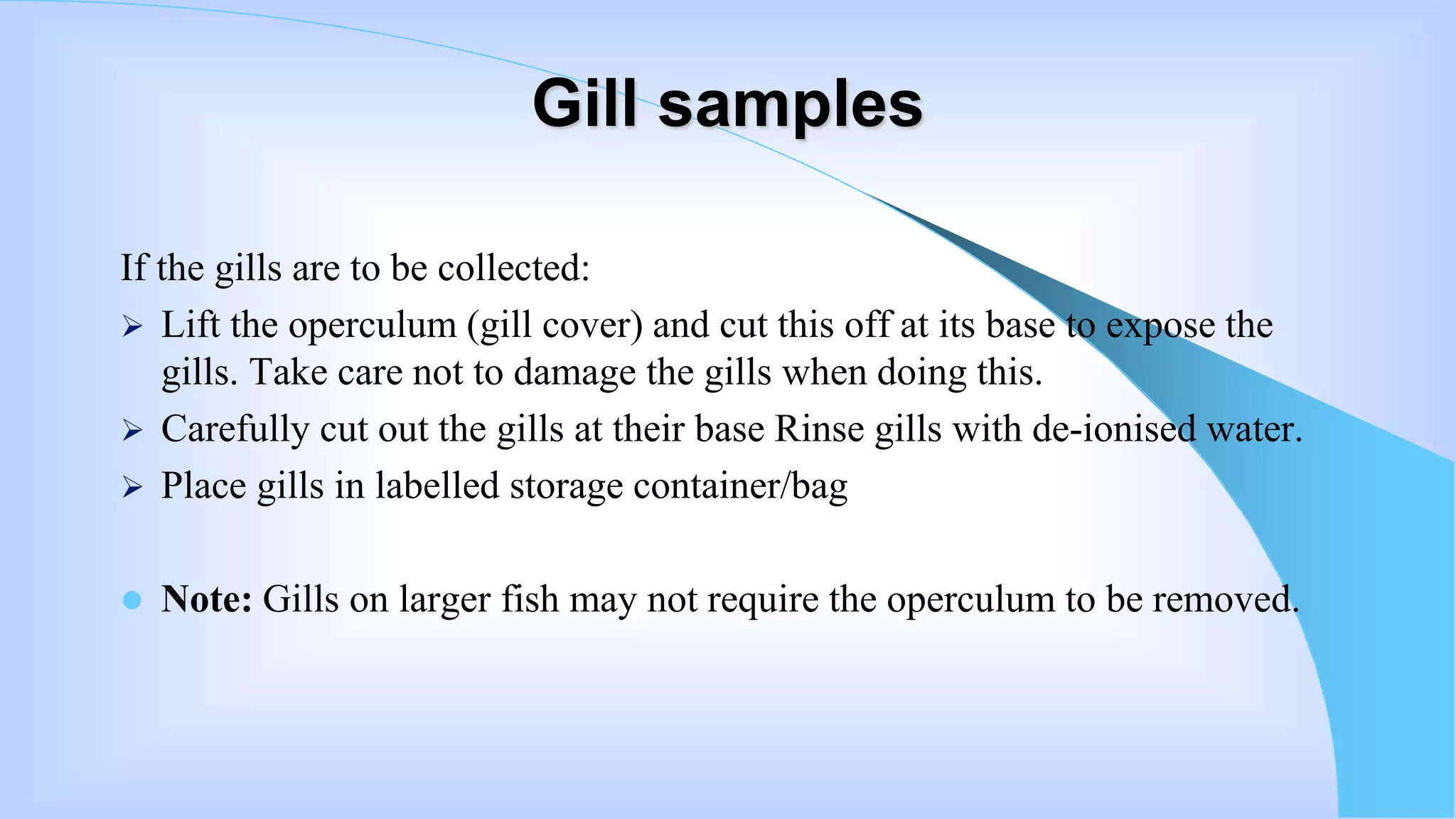 Dissection of internal organs of fish | PPTX