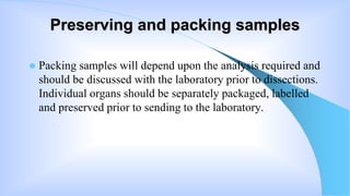 Dissection of internal organs of fish | PPTX