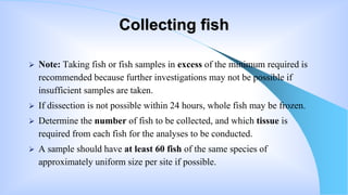 Dissection of internal organs of fish | PPTX