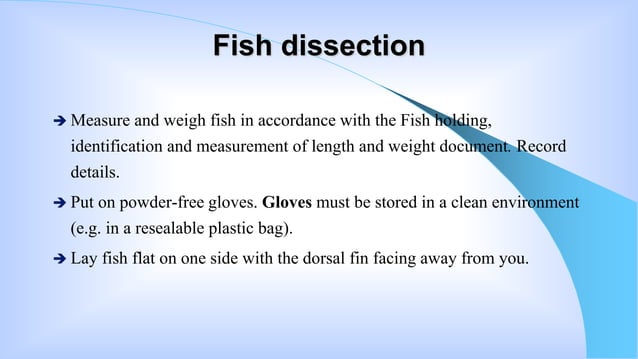 Dissection of internal organs of fish | PPTX