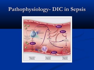 Microangiopathic Haemolytic Anaemia | PPT