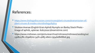 Dissemination of viruses.pptx