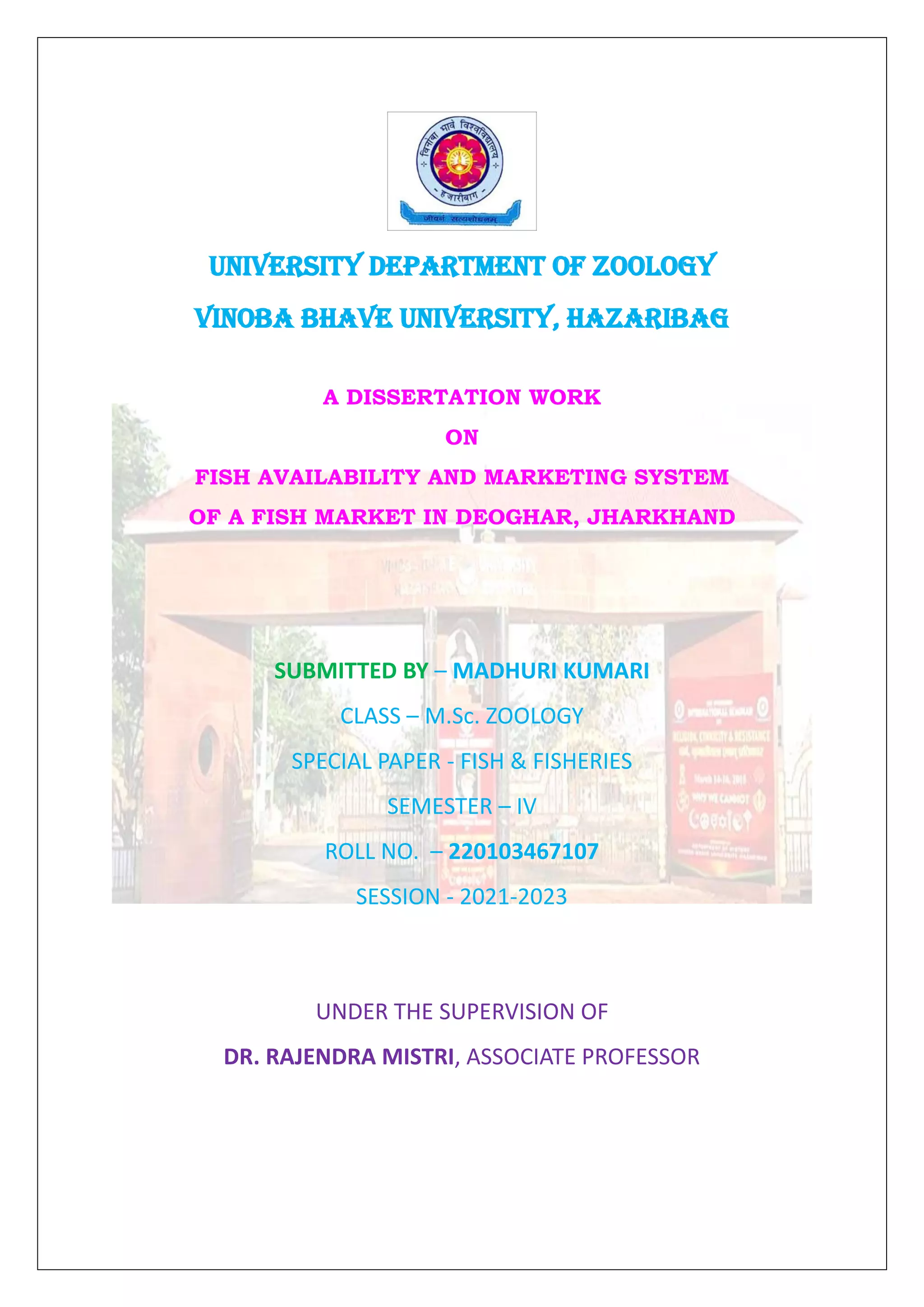 dissertation final.pdf