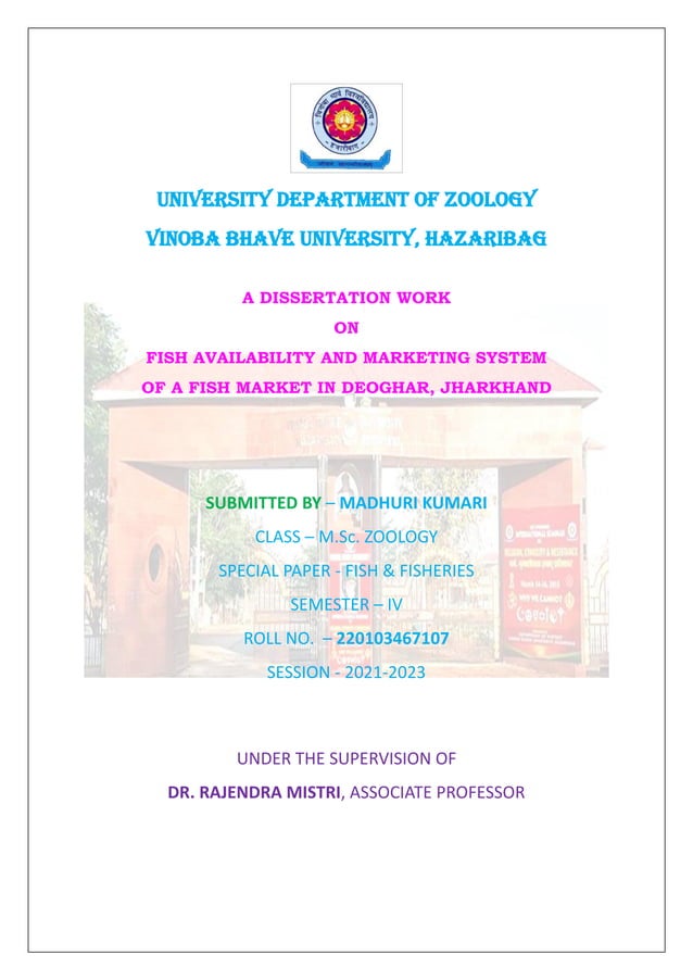 dissertation final.pdf