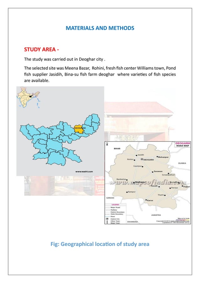 dissertation final.pdf