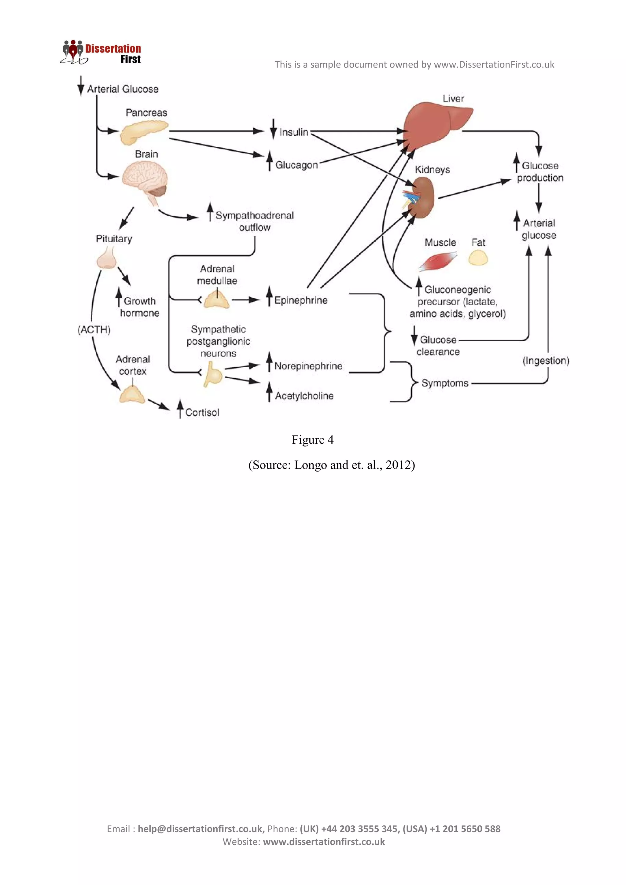 Dissertation Pathophysiology of Hypoglycemia Sample | PDF