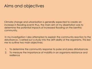 Dissertation Story | PPT