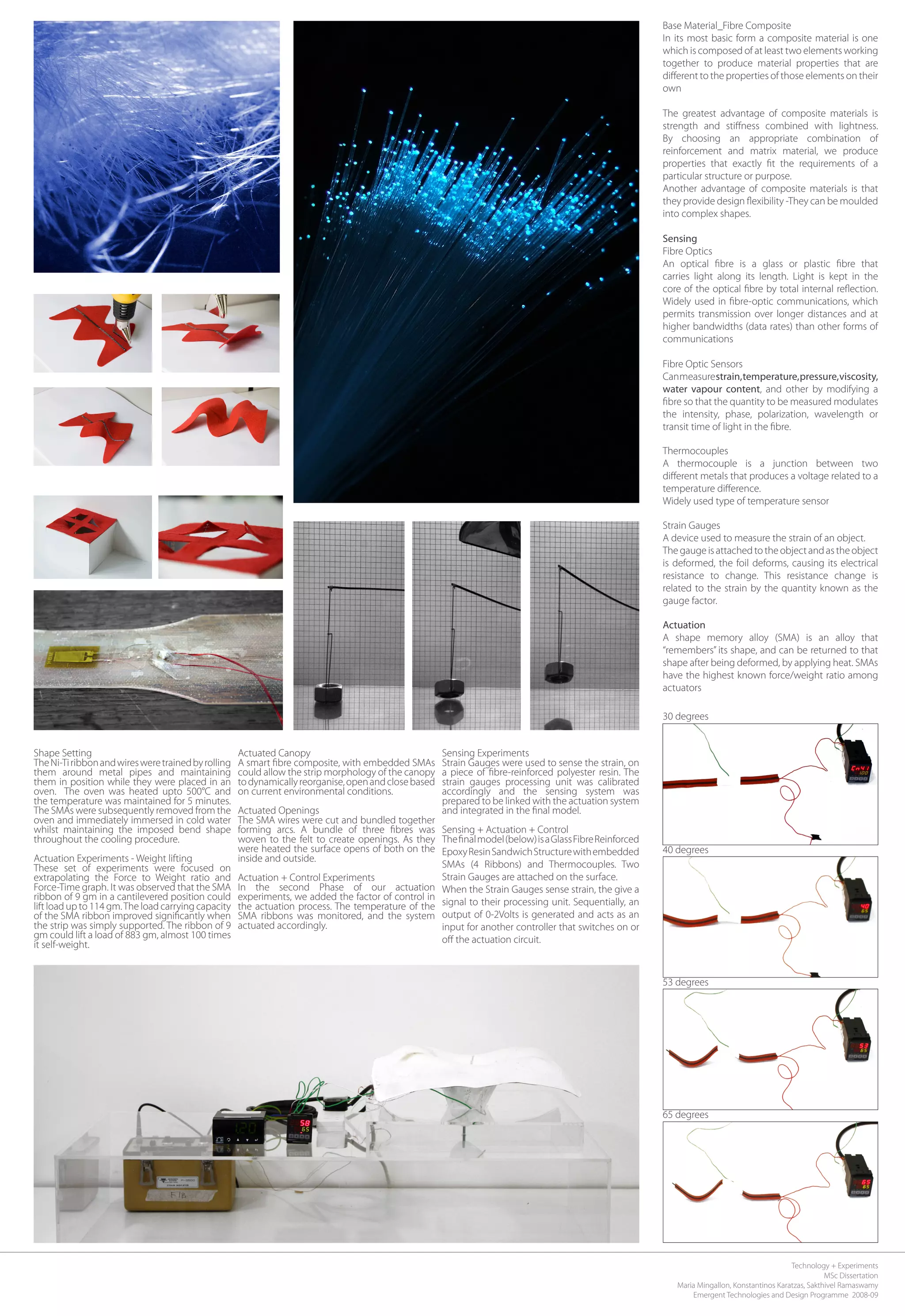 Dissertation Thesis Panels | PDF