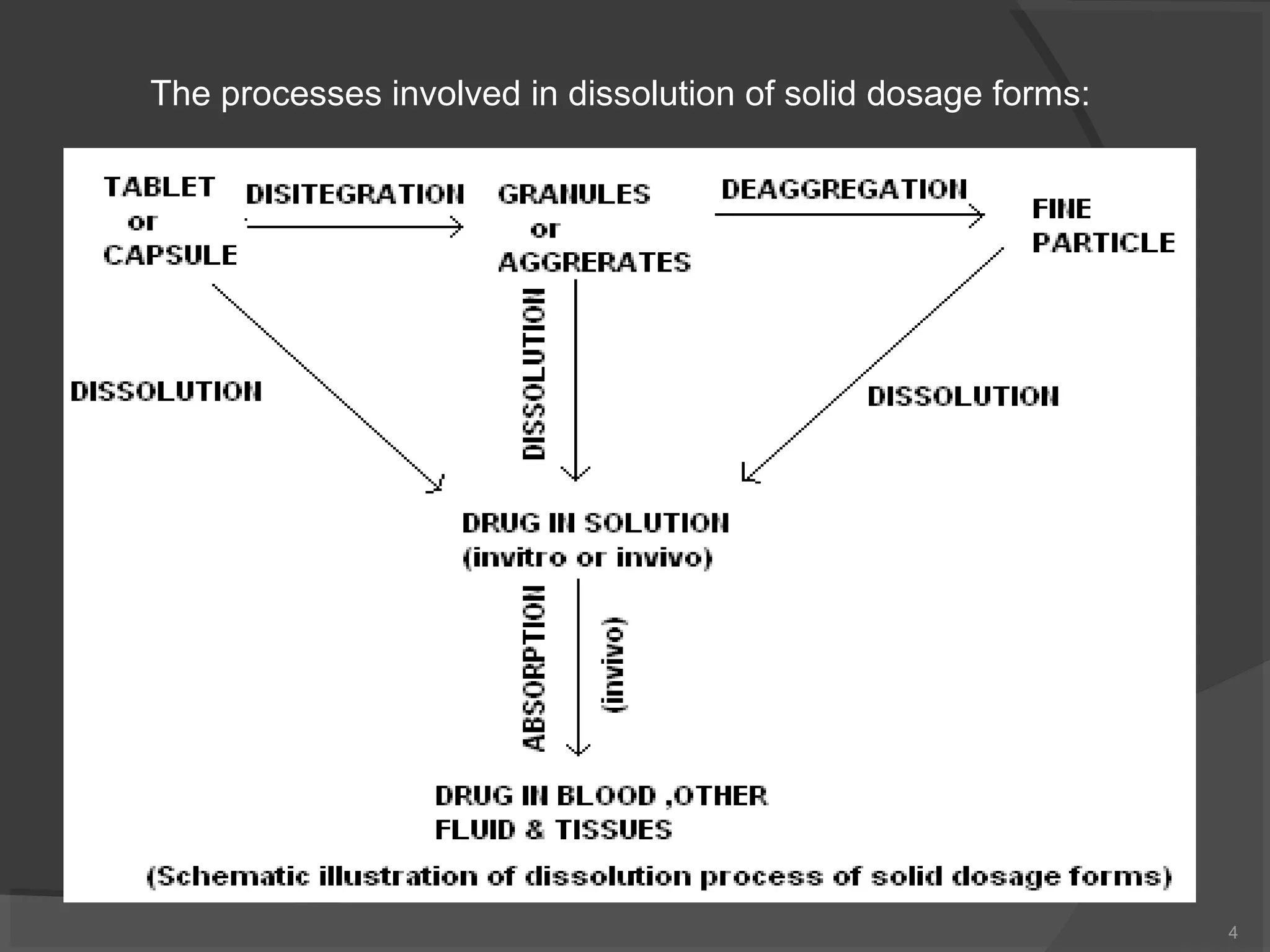 Dissolution | PPT