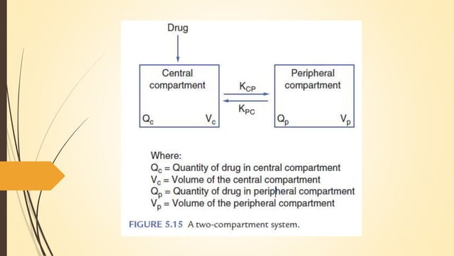 Compartment Model | PPTX | Lung and Respiratory Health | Diseases and ...