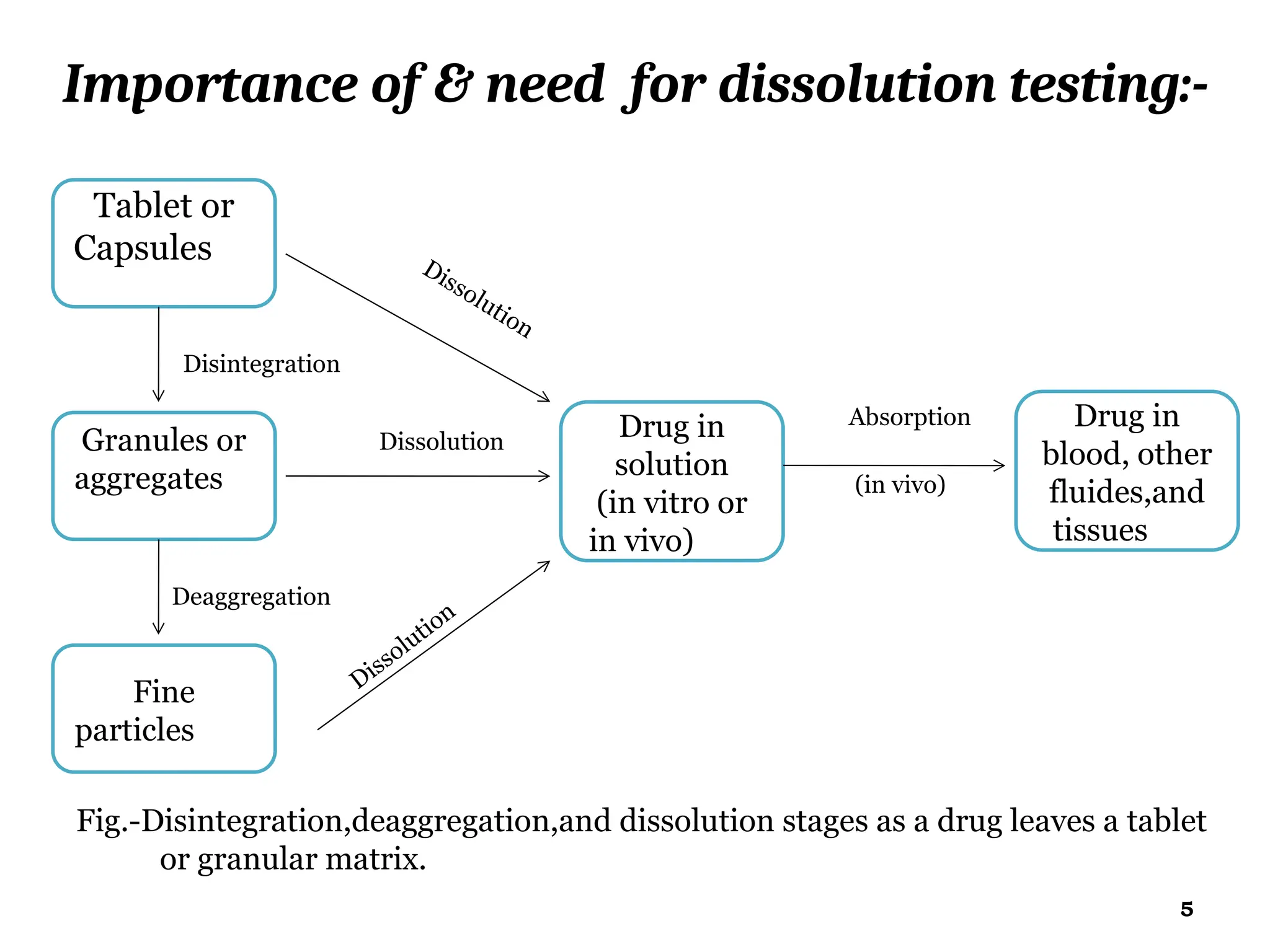 Dissolution 1_ Absorption _ Biopharm.pptx