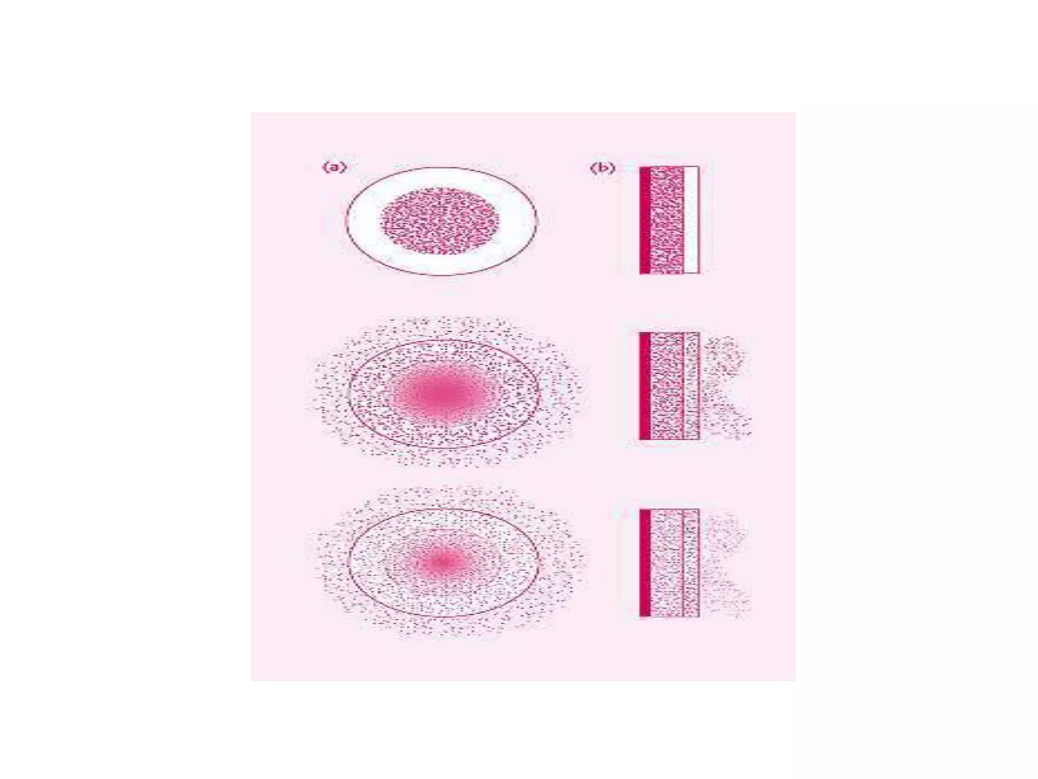 Dissolution and diffusion cdds | PPTX
