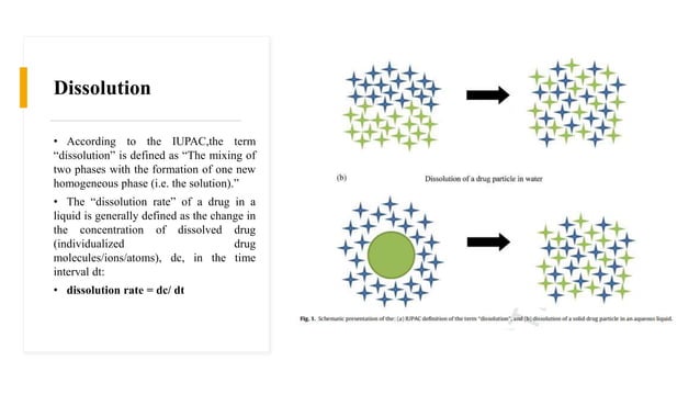 Dissolution model.pptx