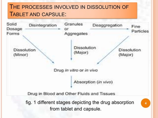 Dissolution models (sem 1) | PPTX | Pharmaceutical Drugs | Medical Health