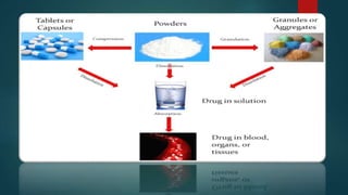 DISSOLUTION | PPT