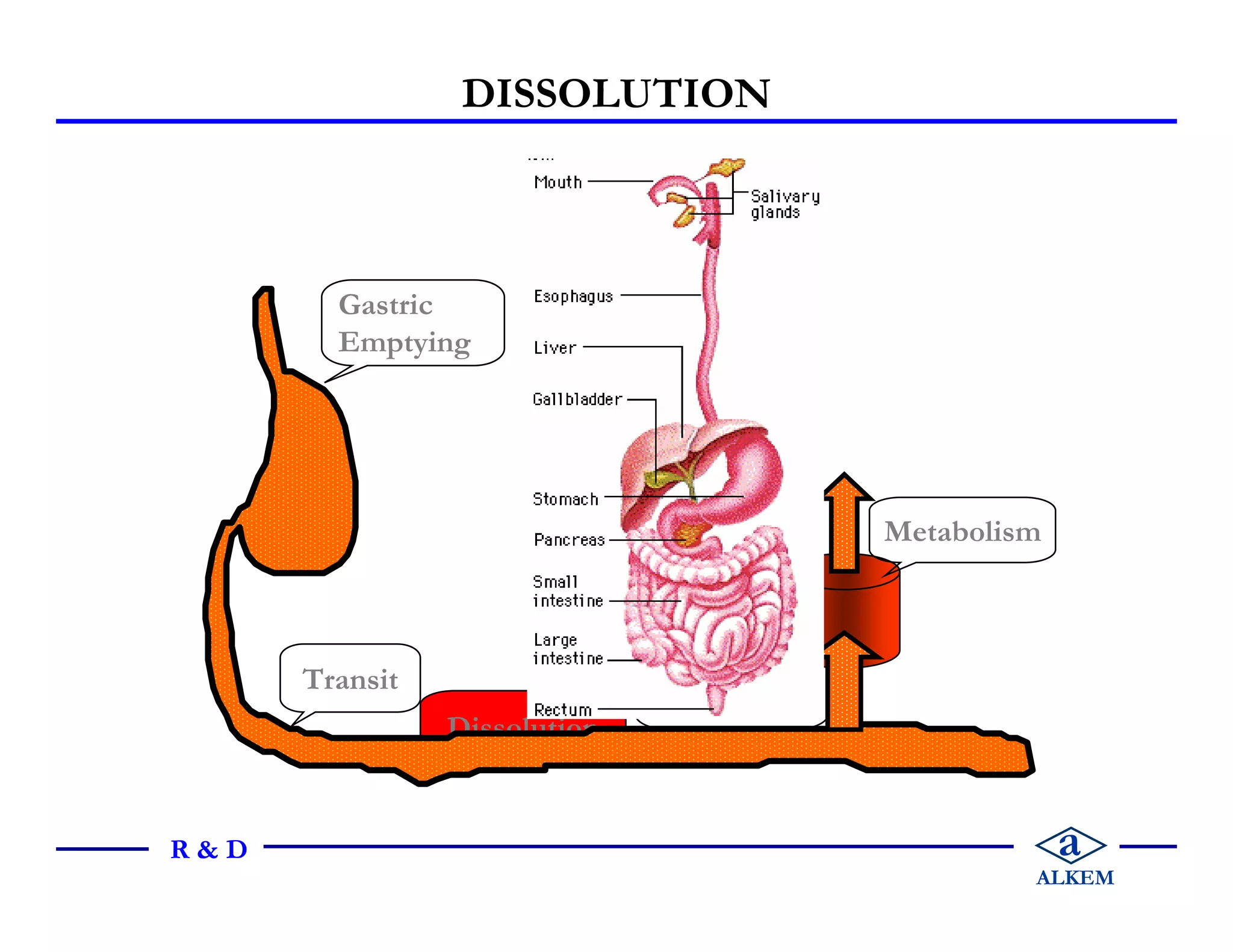 Dissolution presentation by subhakanta Dhal | PDF