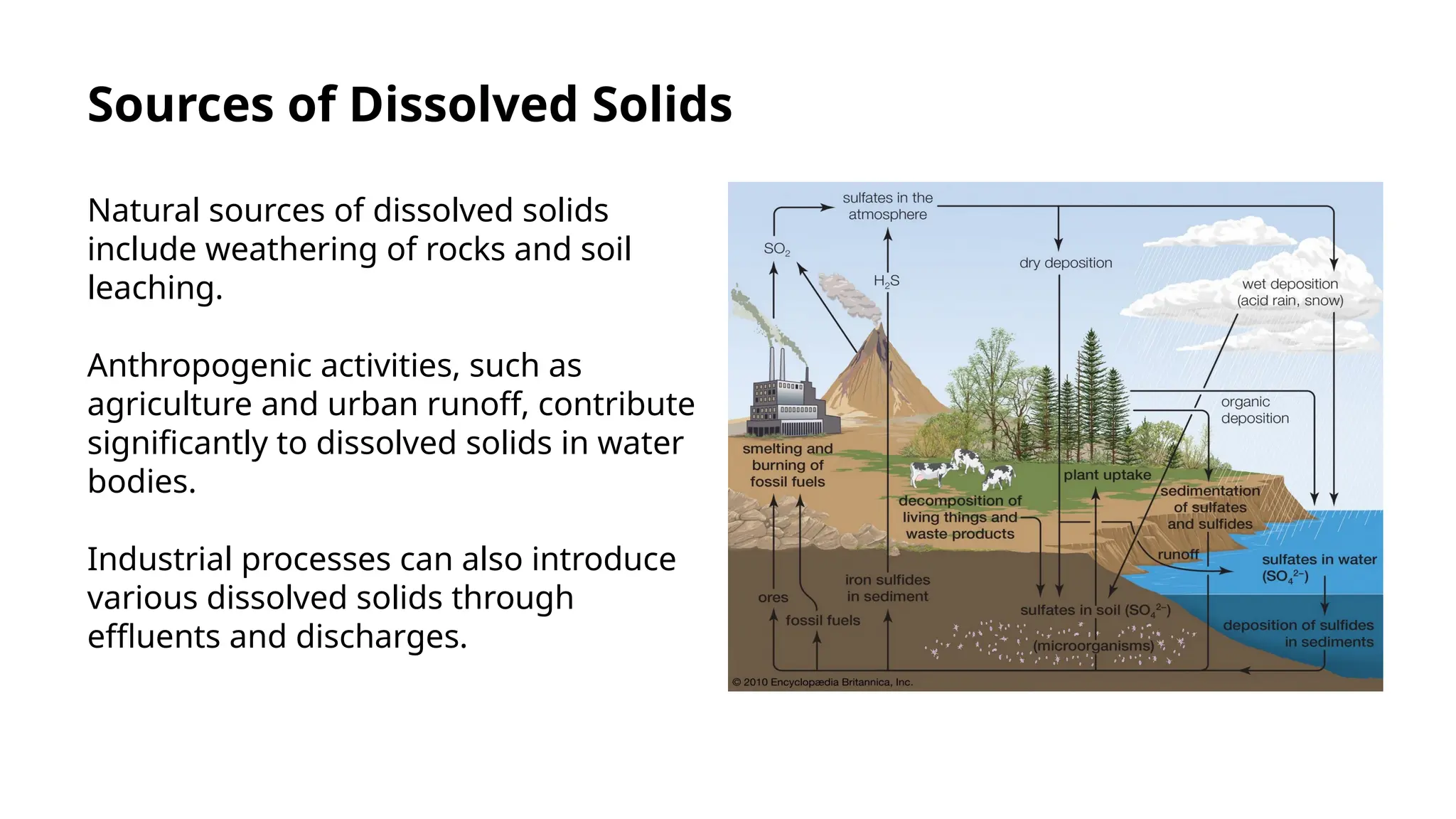Dissolved Solids And Dissolved Organic Matters In Limnology.pptx