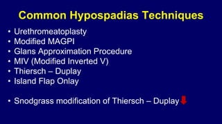 Distal-hypospadias-management-at-CHOP_09182017.pptx