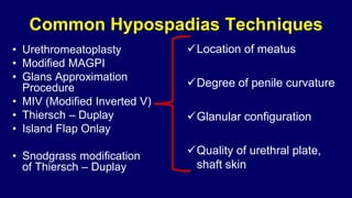 Distal-hypospadias-management-at-CHOP_09182017.pptx