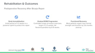 Distal Biceps Avulsion presentation and treatment options | PDF