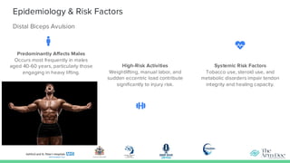 Distal Biceps Avulsion for professionals | PDF