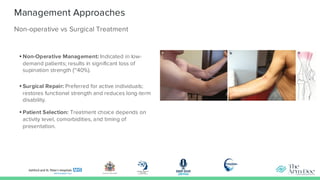Distal Biceps Avulsion for professionals | PDF