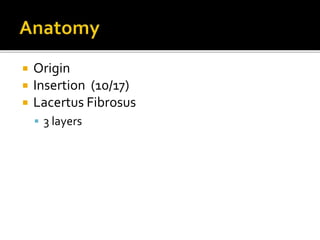 Distal biceps tendon rupture - by Hussain Algawahmed | PPTX